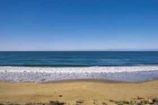 Nature and Wildlife - Tourism Wellington