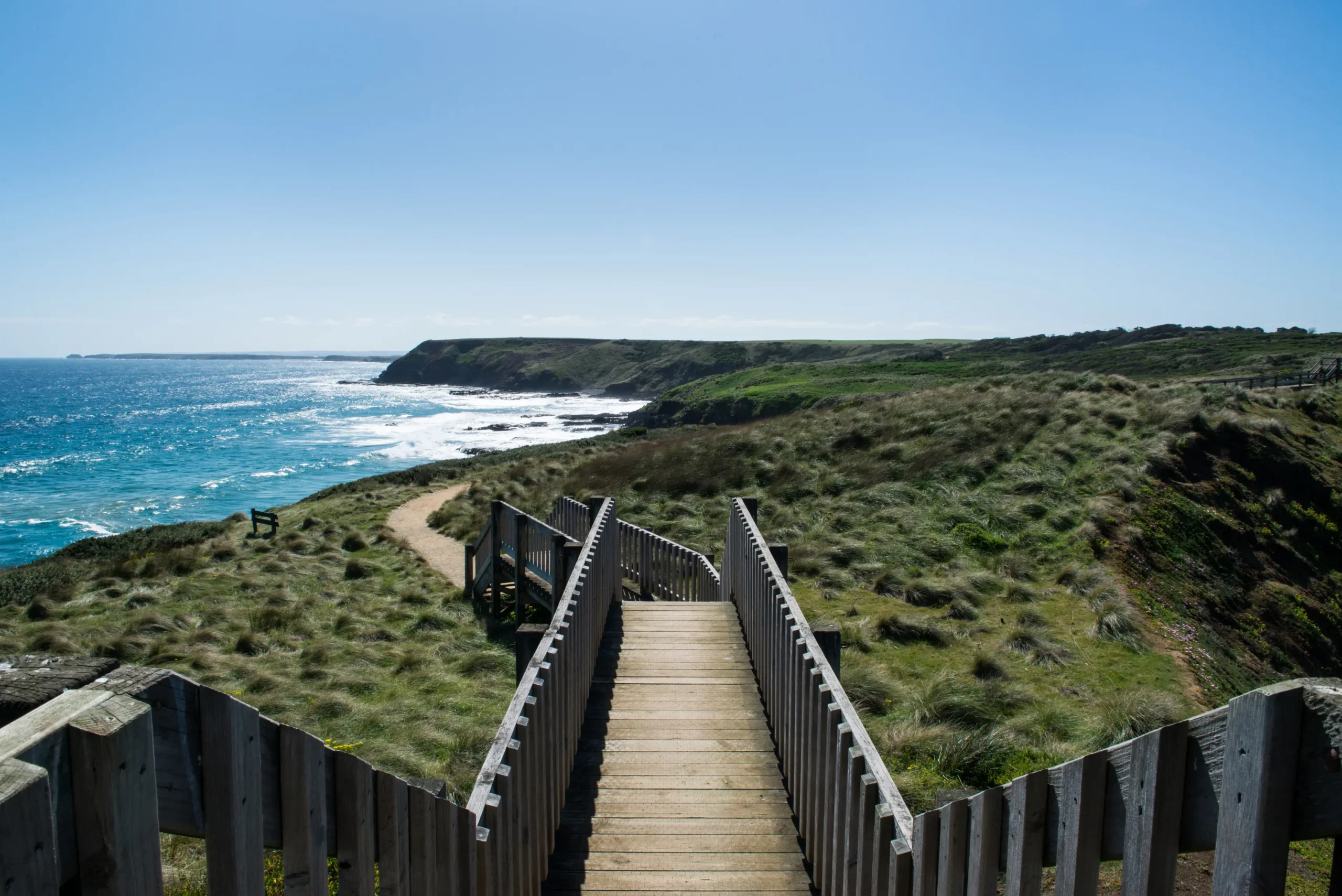 Philip Island tours