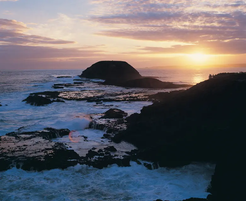 Philip Island tours